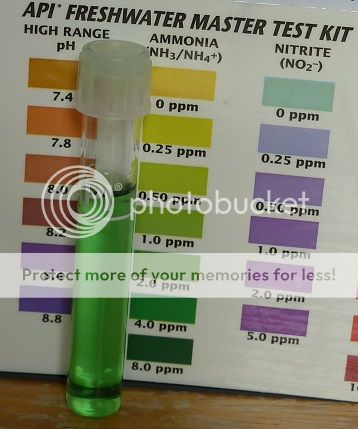 Ammonia Testing- The Good, The Bad And The Ugly | Fish Forum